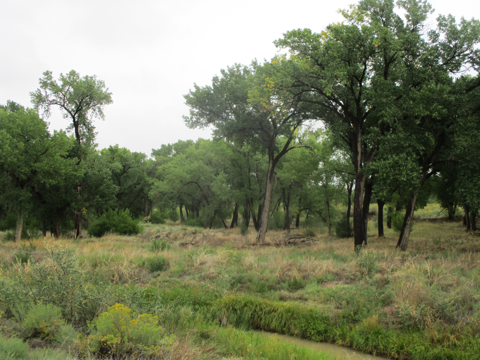 The Española Valley, Part 2, Española | High Road Artist